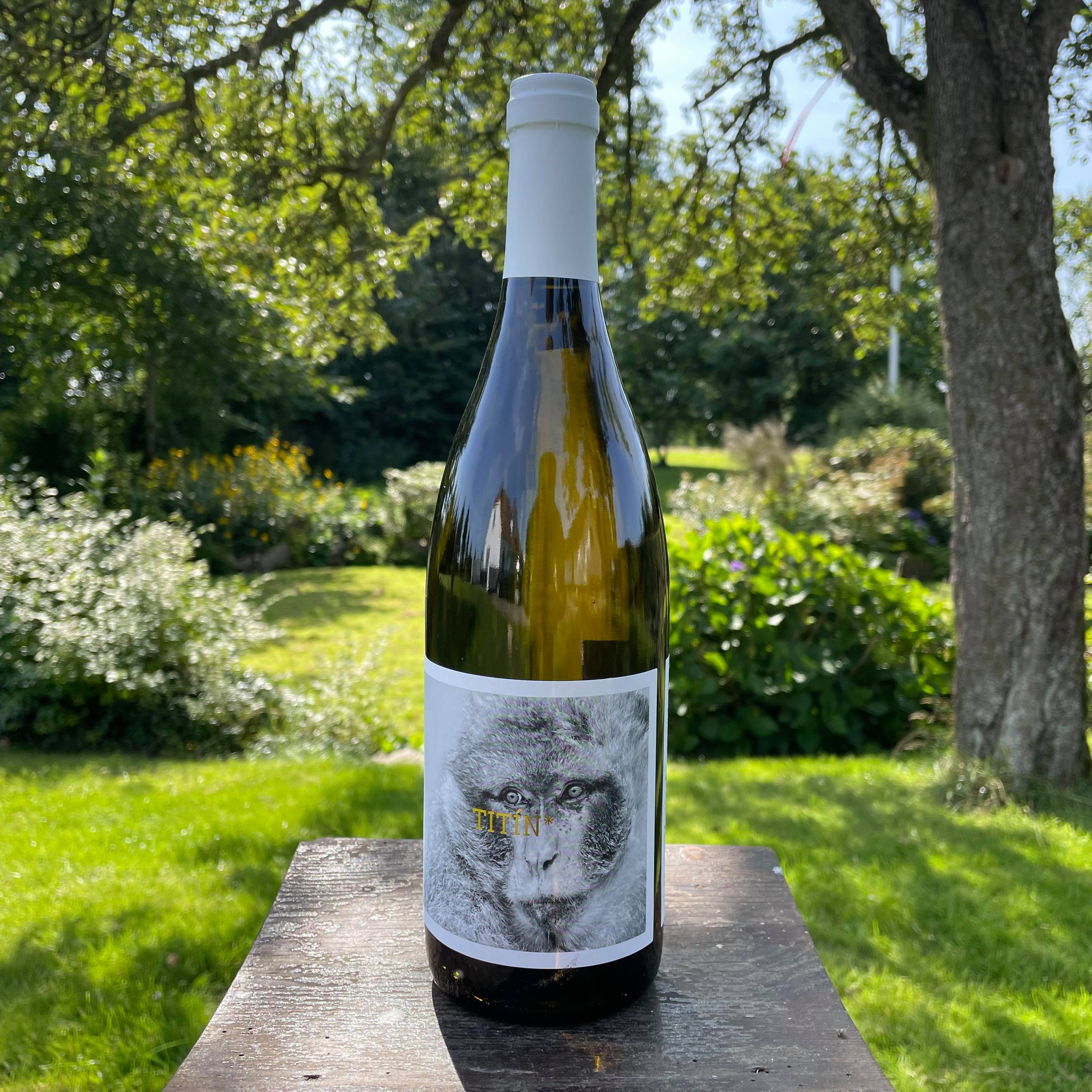 Hvidvine – Vinettig