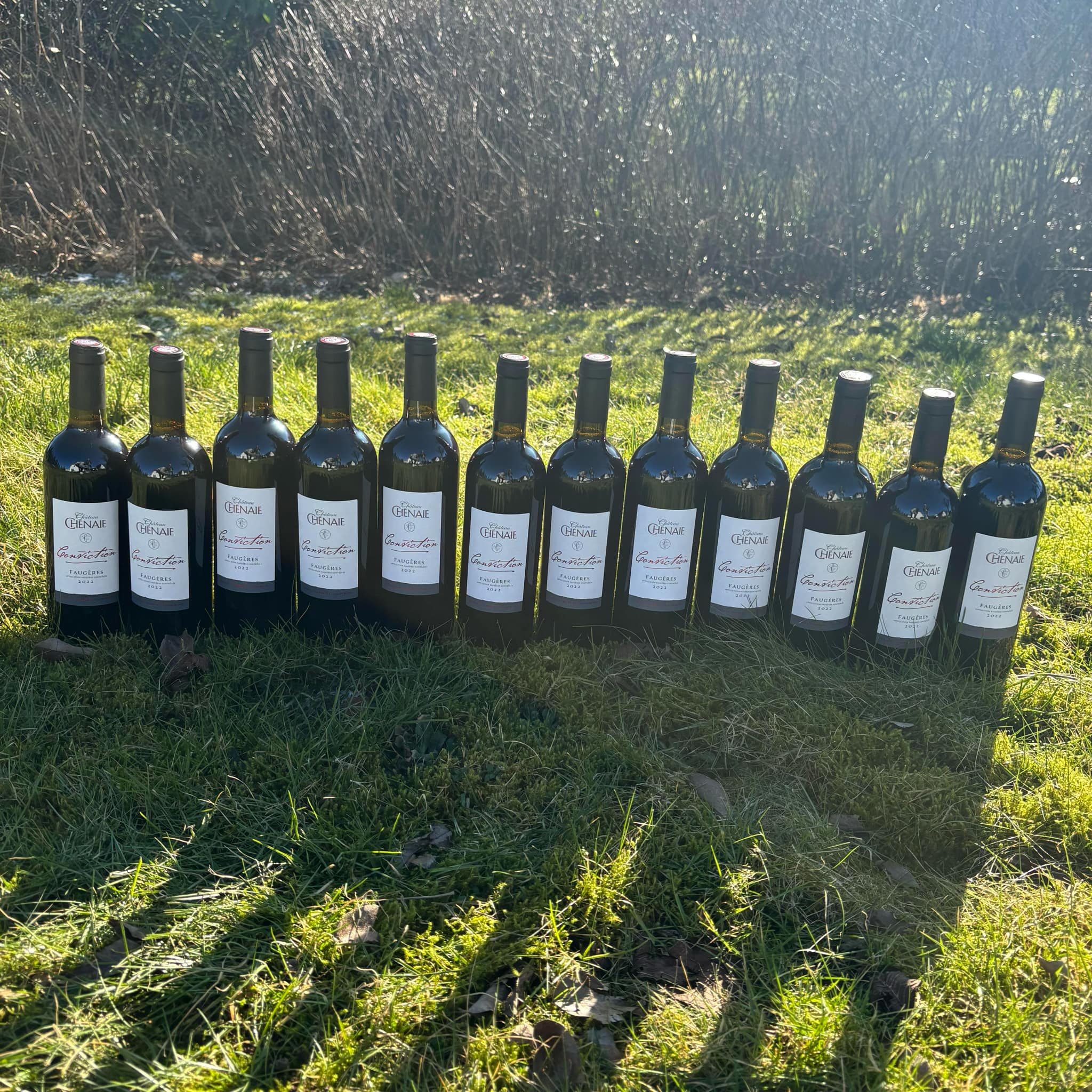 RESTSALG AF FAUGERÈS ( Rødvin ) 2022 – Vinettig